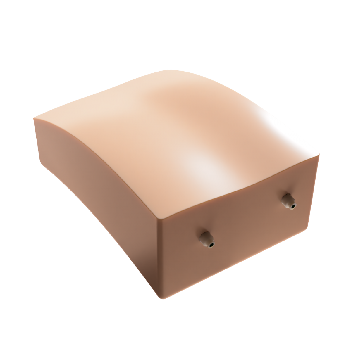 ESP Block Trainer® module – ecoicatech 2022