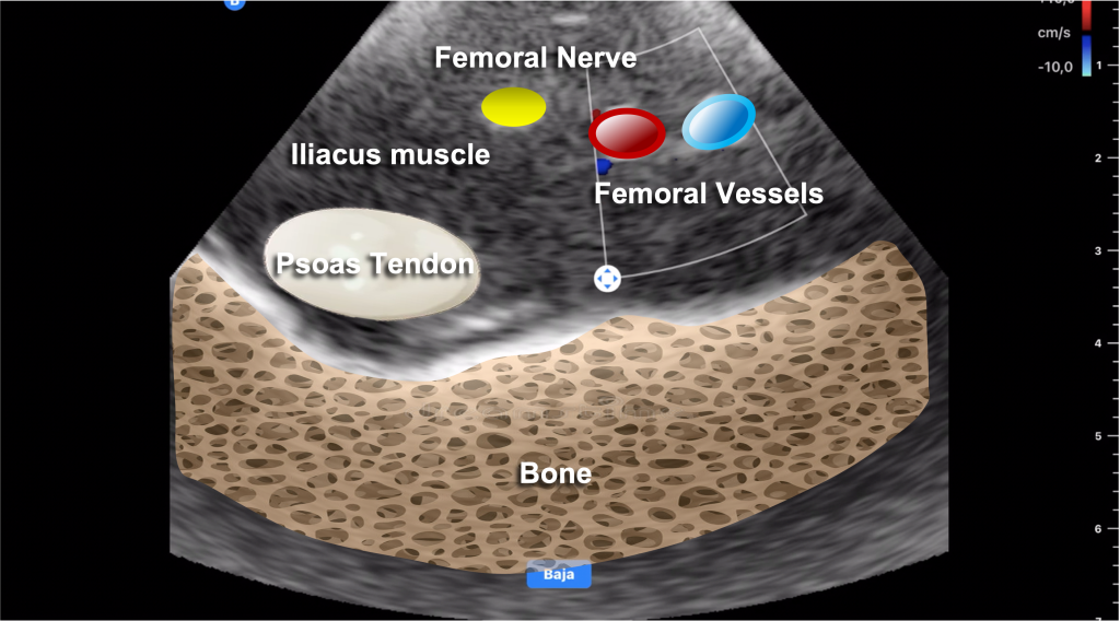 Sé el primero en valorar “PENG Block Trainer” Cancelar respuesta